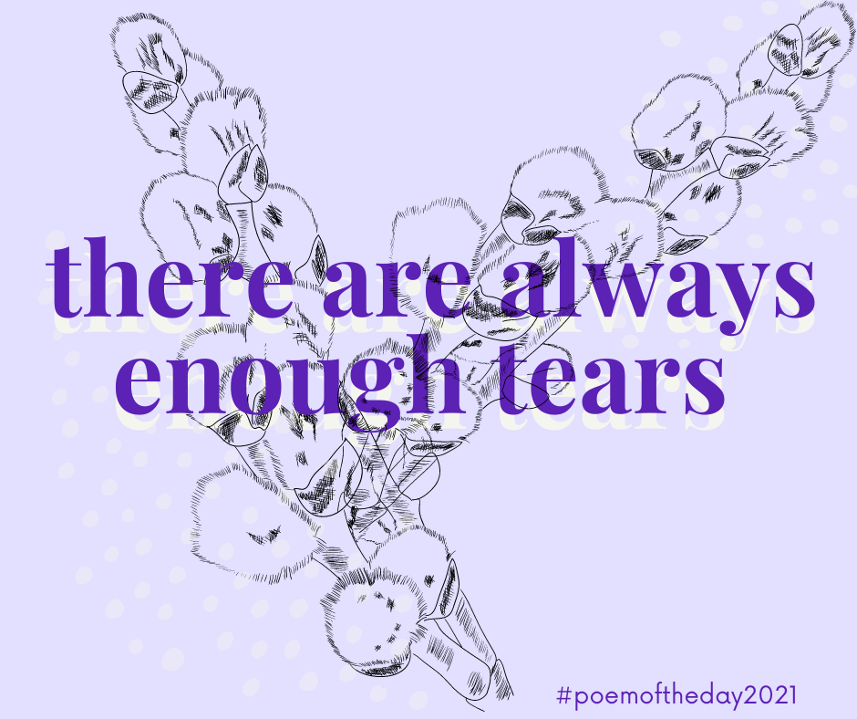 Poem 89 – Tears – VANESSA SHIELDS