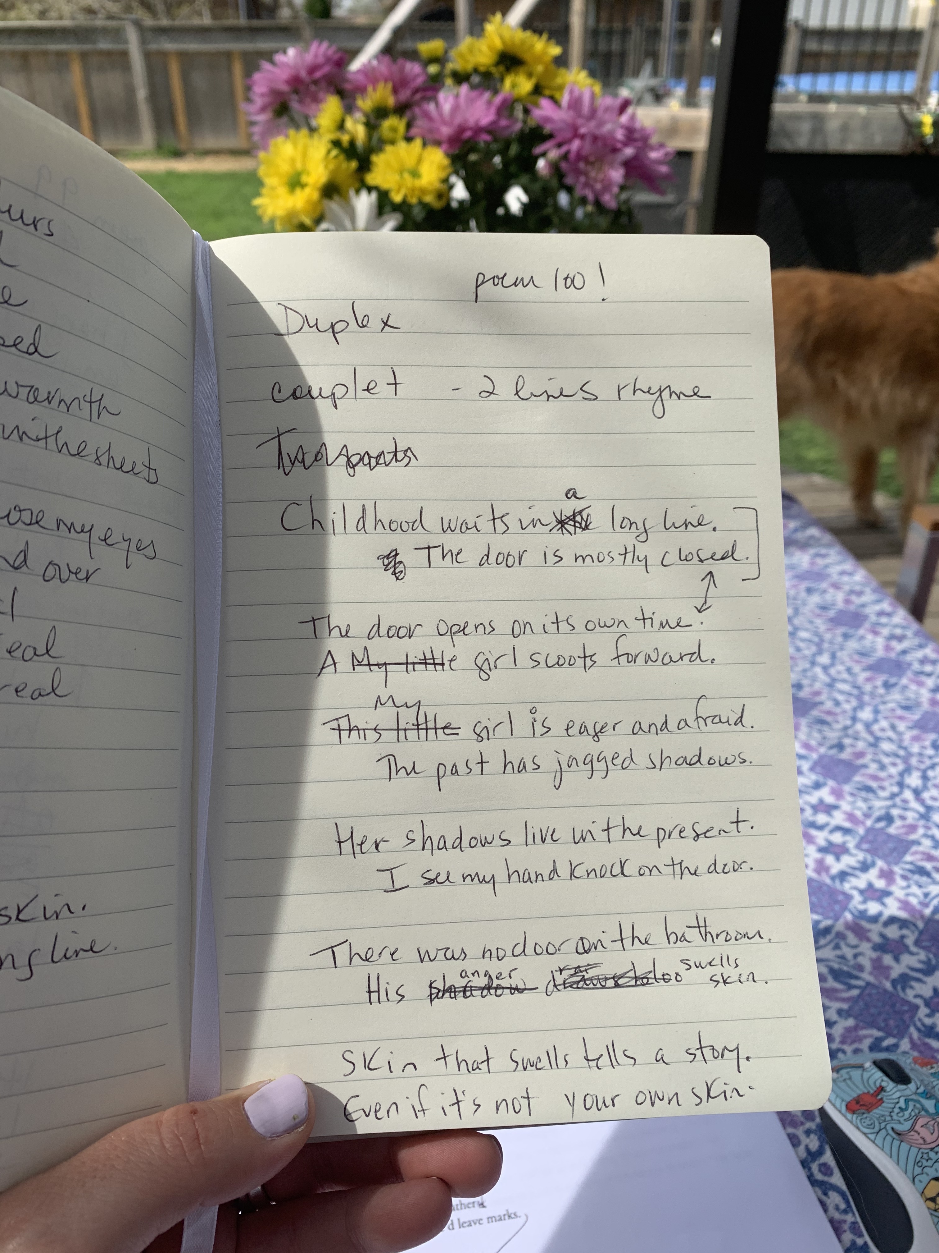 Poem 100 – Duplex for Childhood – VANESSA SHIELDS