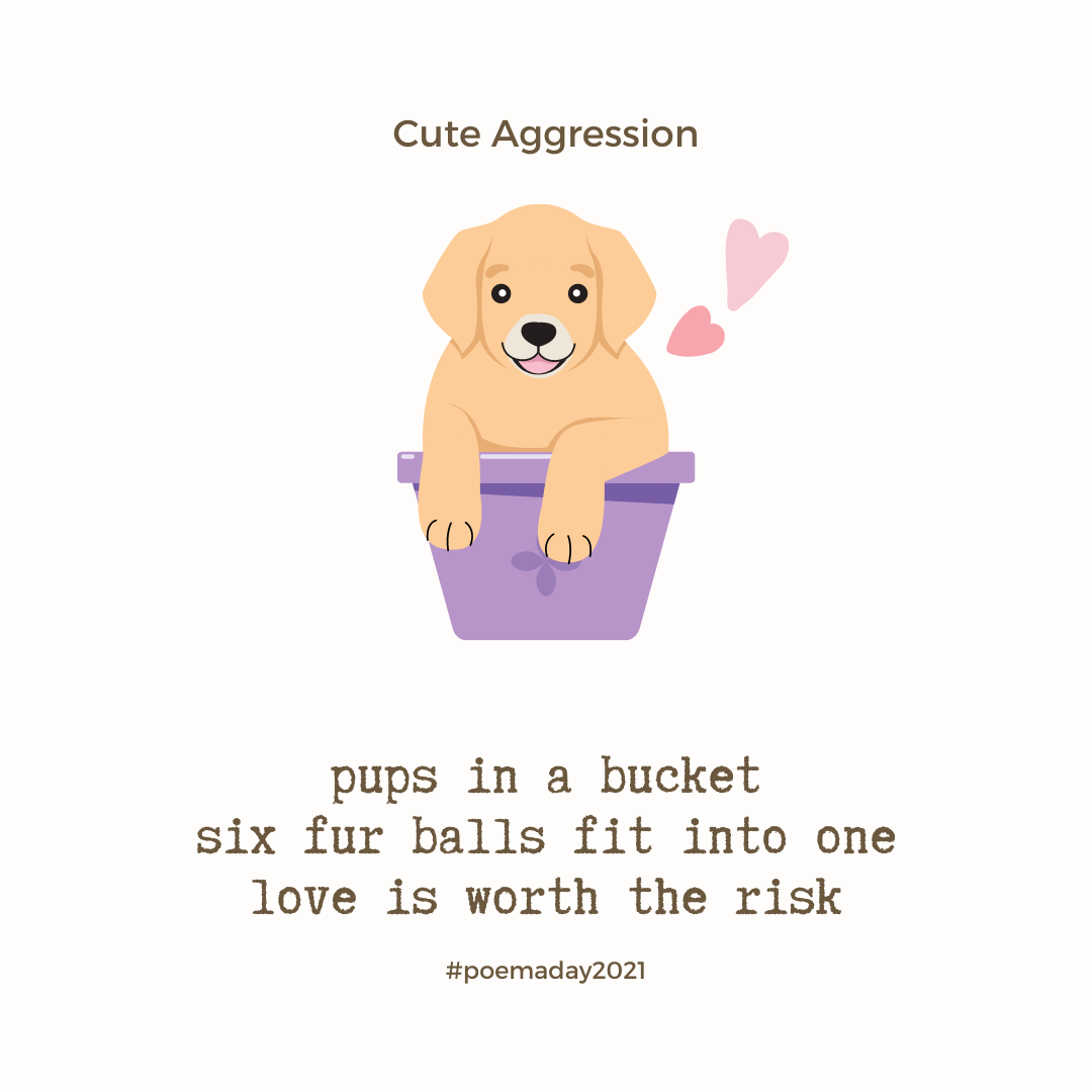 Poem 113 – Cute Aggression – VANESSA SHIELDS