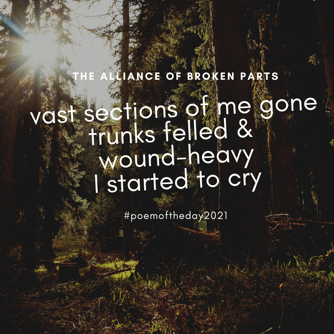 Poem 116 – The Alliance of Broken Parts & Moose Magic – VANESSA SHIELDS