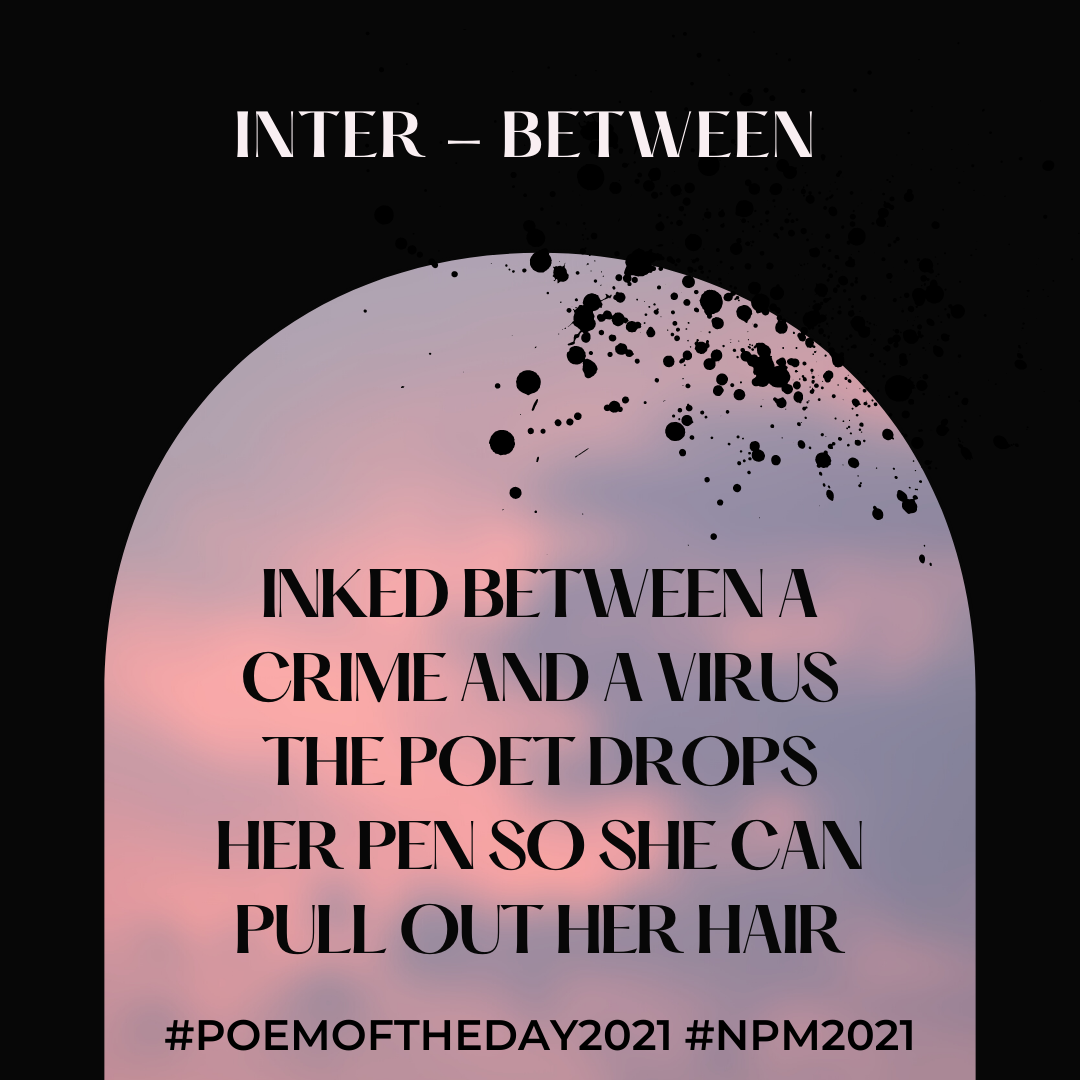 Poem 91 – Inter & NPM & Countdown Begins! – VANESSA SHIELDS