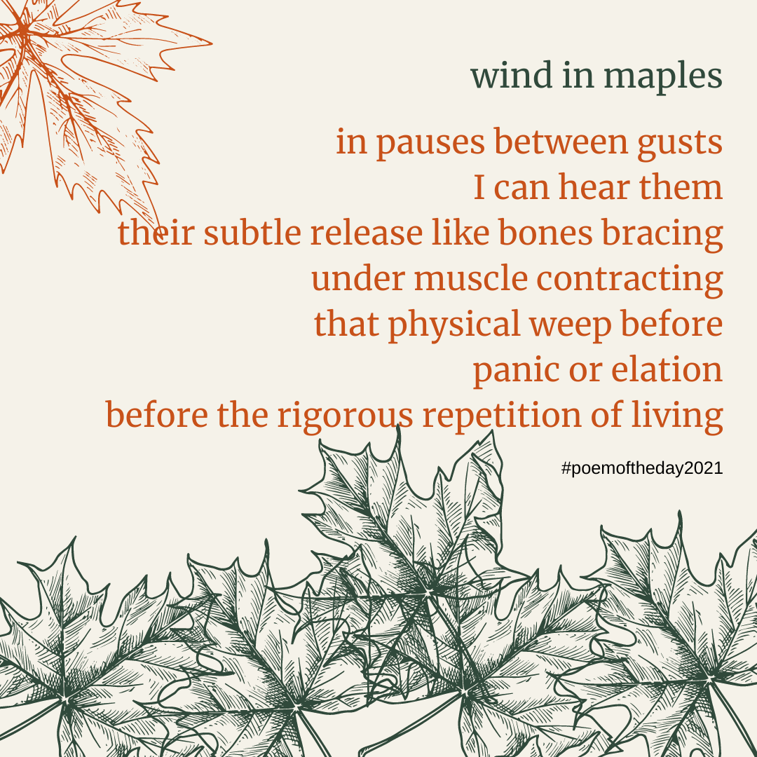 Poem 178 – wind in maples – VANESSA SHIELDS
