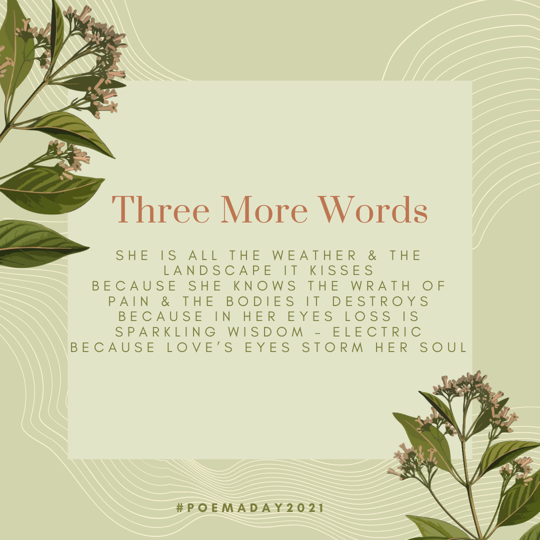 Poem 292 – Three More Words & Poetry at the Manor Tonight! – VANESSA ...