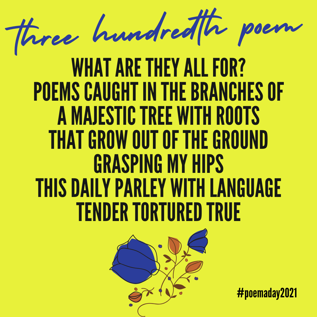 Poem 300 – Three Hundredth Poem – VANESSA SHIELDS