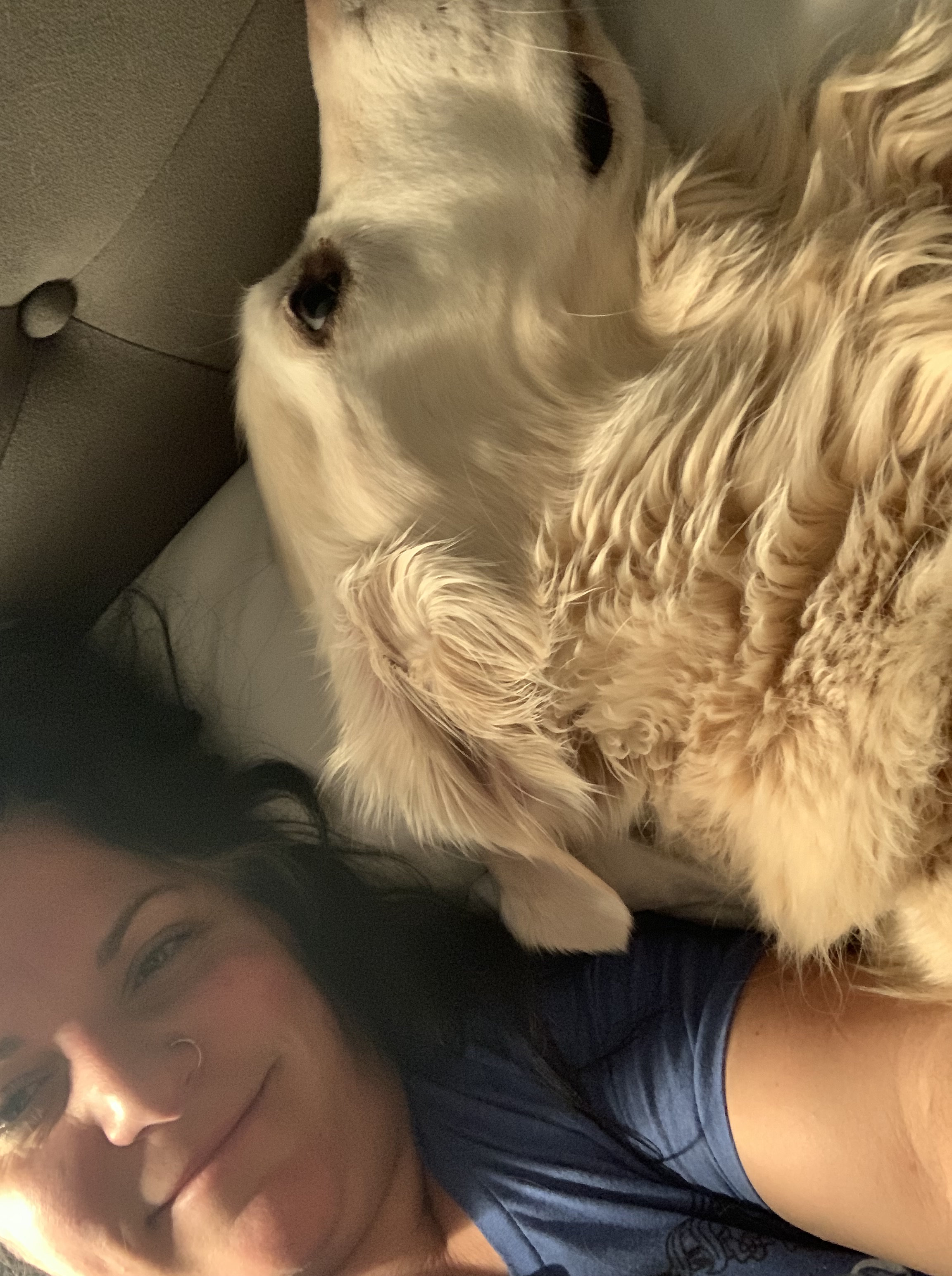 Holiday Time – VANESSA SHIELDS