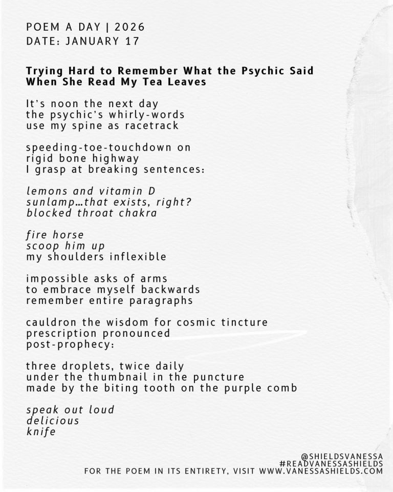 POEM A DAY – January 17 – VANESSA SHIELDS